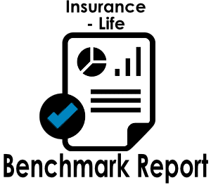 Insurance - Life Industry Benchmark Report
